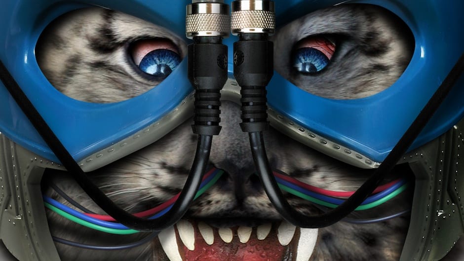 Pleix's Paris parade - 1.4