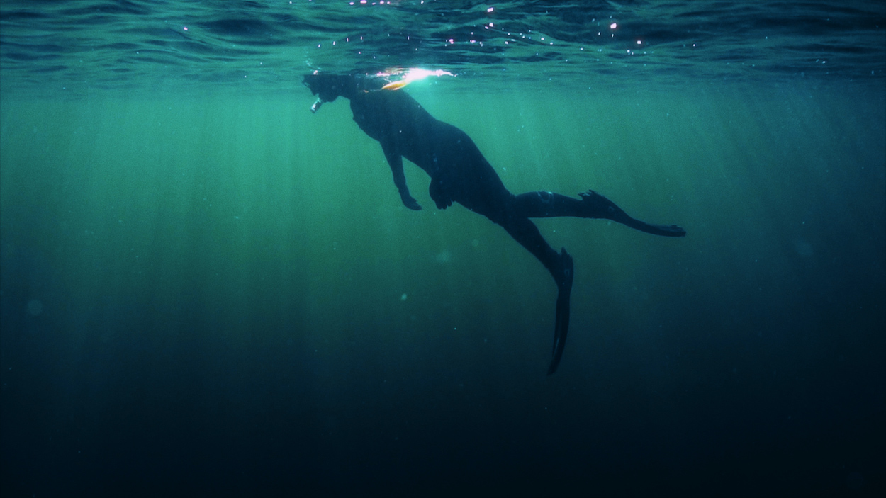 Onepointfour | Tom Sweetland – Under the Surface