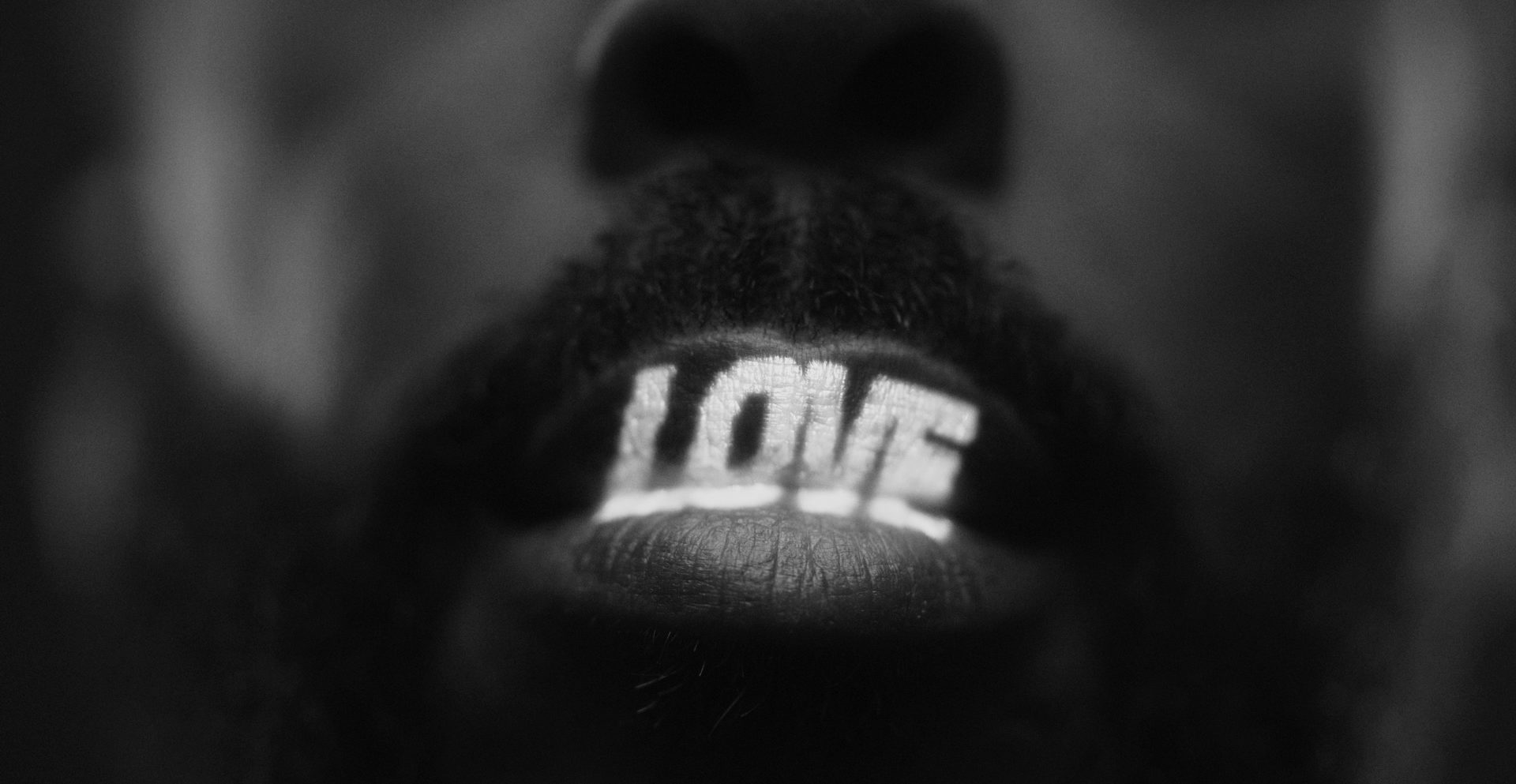 Onepointfour | Mischa Meyer – Color of Change, Love Says