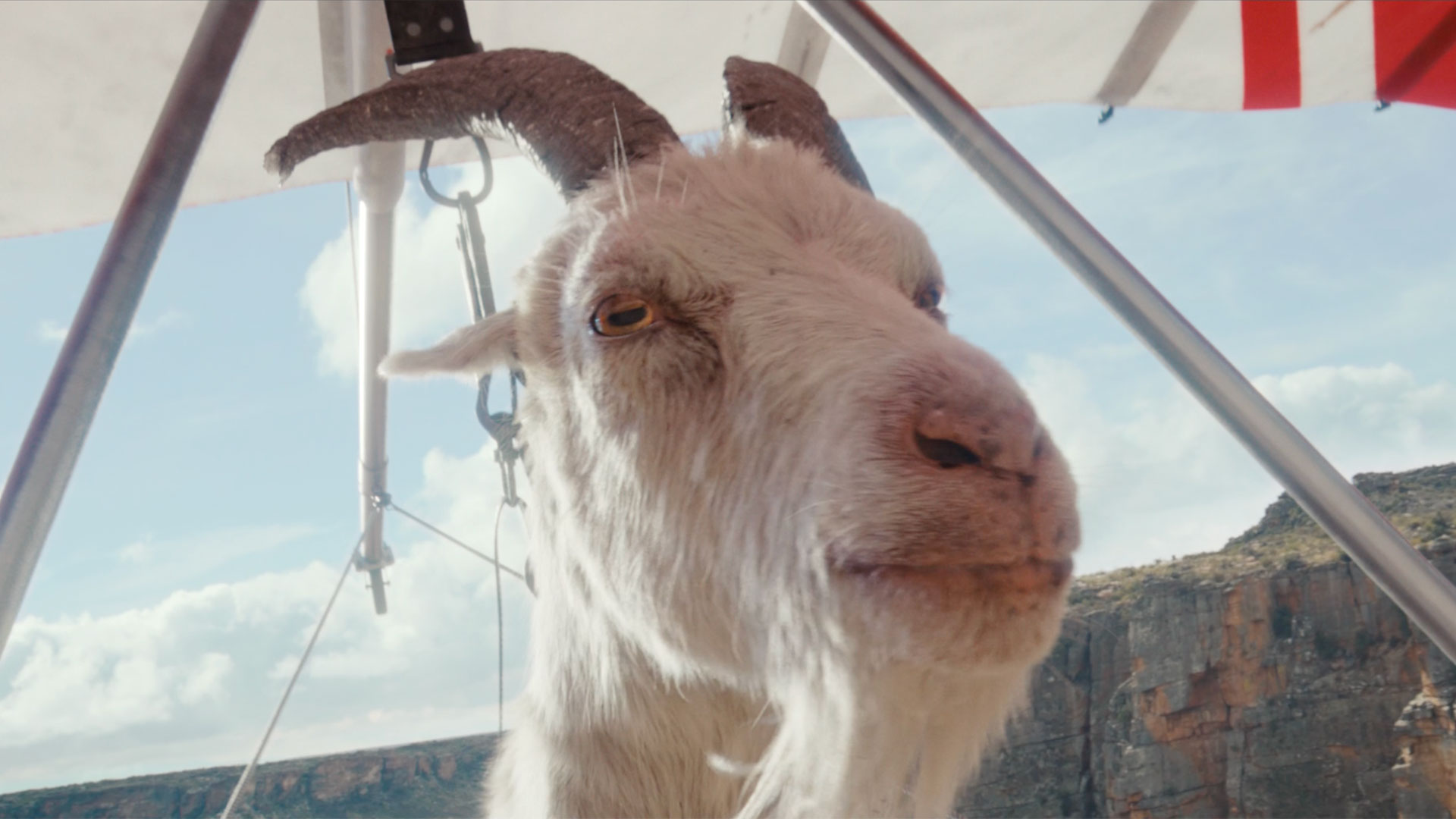 Onepointfour | Sam Brown – Goat Glider